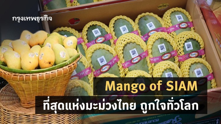 'Mango of SIAM' มหัศจรรย์งานเทศกาลมะม่วงแห่งปี