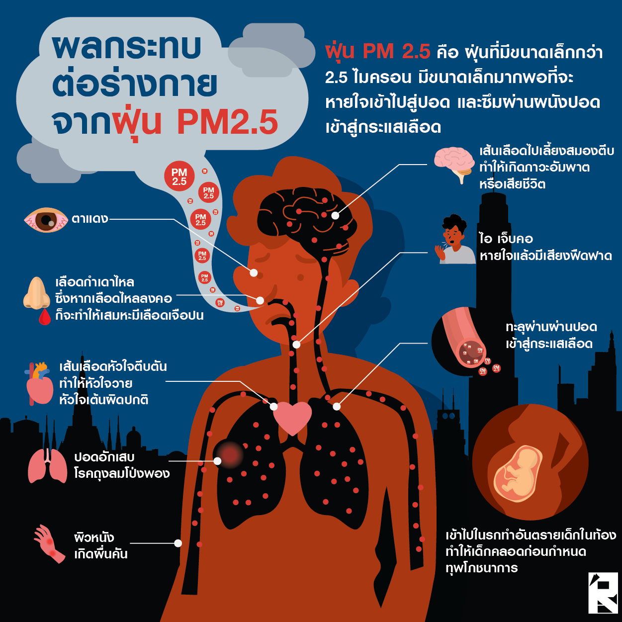 แพทย์ชี้ฝุ่น PM 2.5 เล็กทะลุปอดเข้ากระแสเลือด
