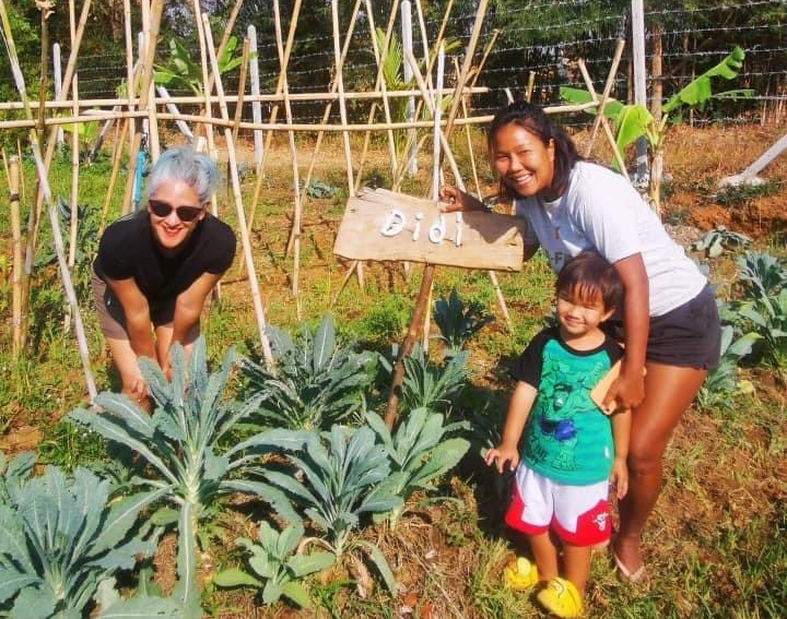 ‘U- Farm’ ให้เช่าแปลงปลูกผัก ไม่ต้องลงมือทำ ก็มีผักให้กิน