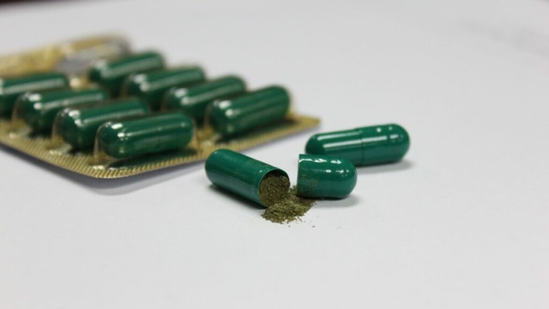 ใช้ 'ฟ้าทะลายโจร' ผิดวิธี ระวังผลข้างเคียง