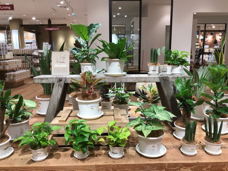 ‘MUJI’ เปิดใหม่คอนเซปต์สโตร์ 1,800 ตารางเมตร โชว์ปรัชญา ‘มูจิ’ เต็มรูปแบบ