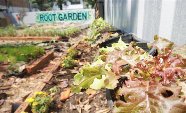 Root Garden ร้าง ดี มีประโยชน์