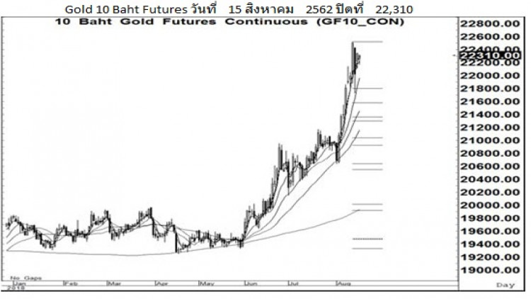 Daily Gold Futures (16 ส.ค.62)