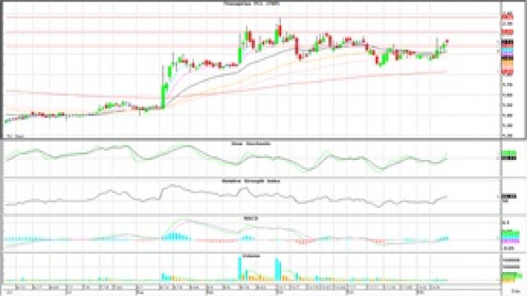 Technical Insight (18 ธ.ค.62)