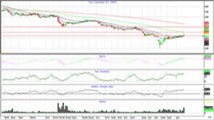 "Technical" Insight (13 เม.ย.63)