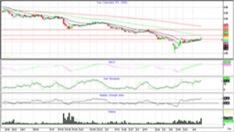 "Technical" Insight (13 เม.ย.63)
