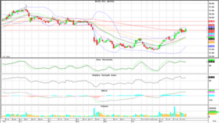 "Technical" Insight (30 พ.ย.63)