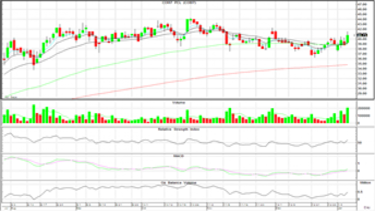 "Technical" Insight (8 ม.ค.64)