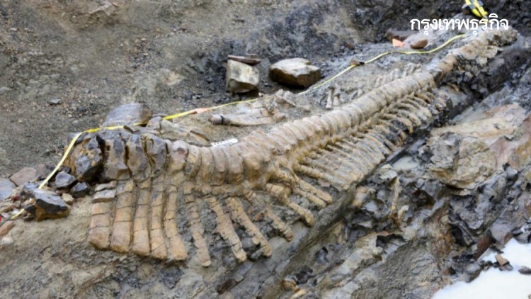 นักบรรพชีวินเม็กซิโกพบไดโนเสาร์สายพันธุ์‘ช่างจ้อ’