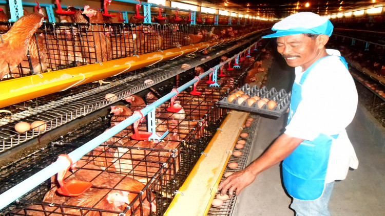 CPF registers as farming contractor