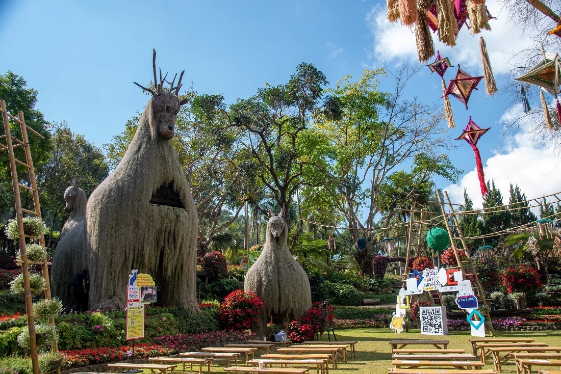 รับลมหนาวกับงานสีสันแห่งดอยตุง ครั้งที่ 8 เริ่มแล้ว ณ พื้นที่ทรงงาน ...