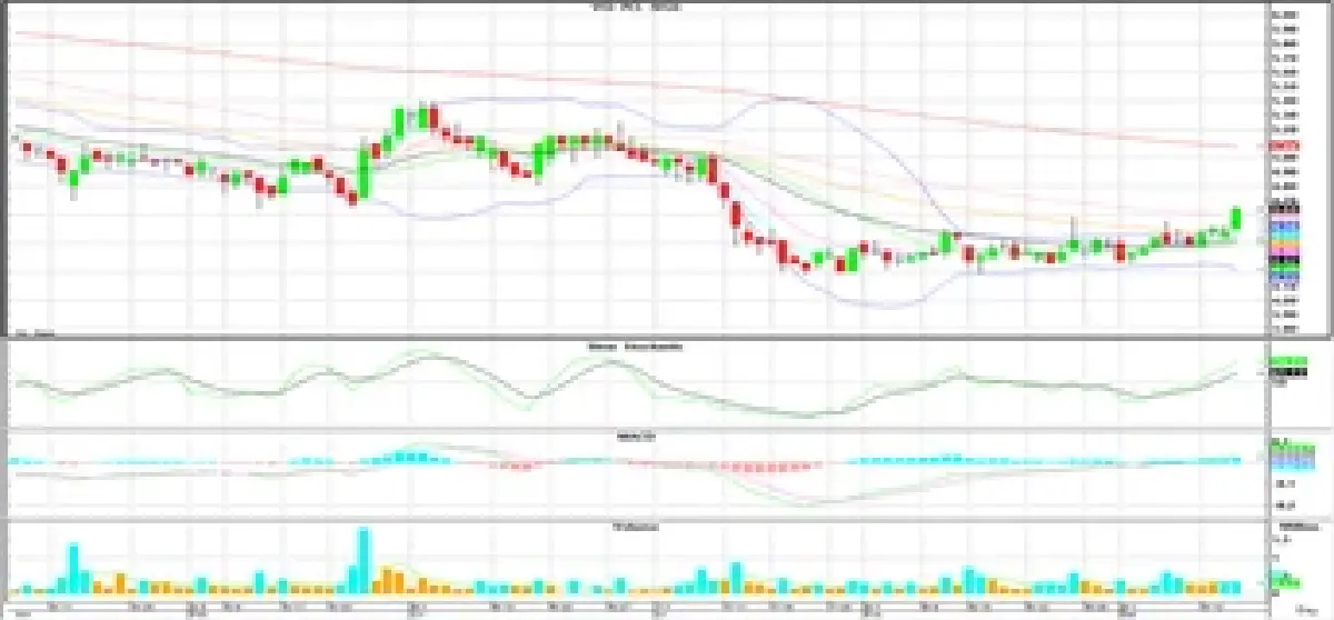Technical Insight (วันที่ 16 กันยายน 2565)