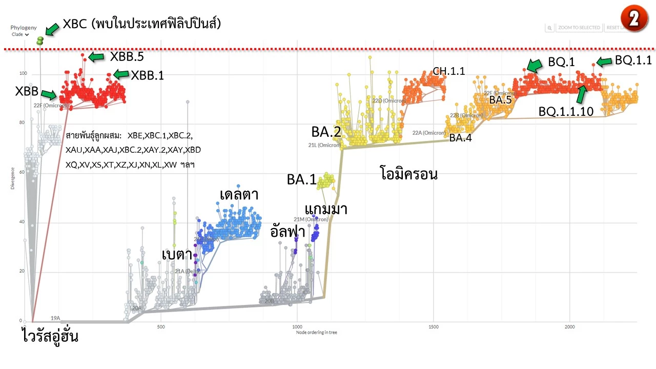 จับตาโควิด “เดลทาครอน XBC” ลูกผสมระหว่างสายพันธุ์ เดลตา - โอมิครอน BA.2