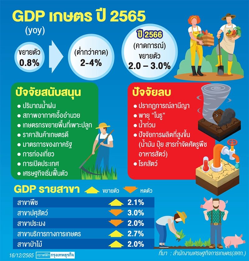 จีดีพีเกษตรปี 66 คาดโต 2-3% จับตาภูมิรัฐศาสตร์-ปัจจัยผลิตป่วน