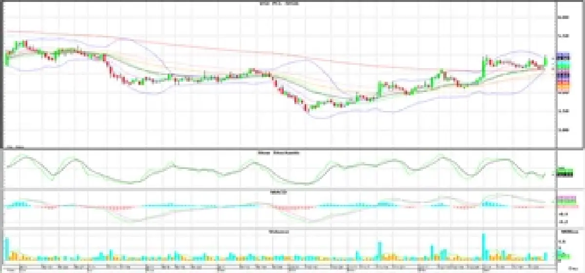Technical Insight (วันที่ 31 มกราคม 2566)