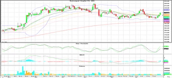 Technical Insight (วันที่ 1 กุมภาพันธ์ 2566)
