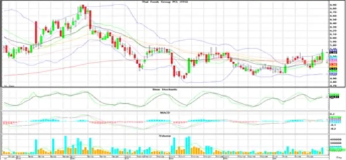 Technical Insight (วันที่ 1 กุมภาพันธ์ 2566)