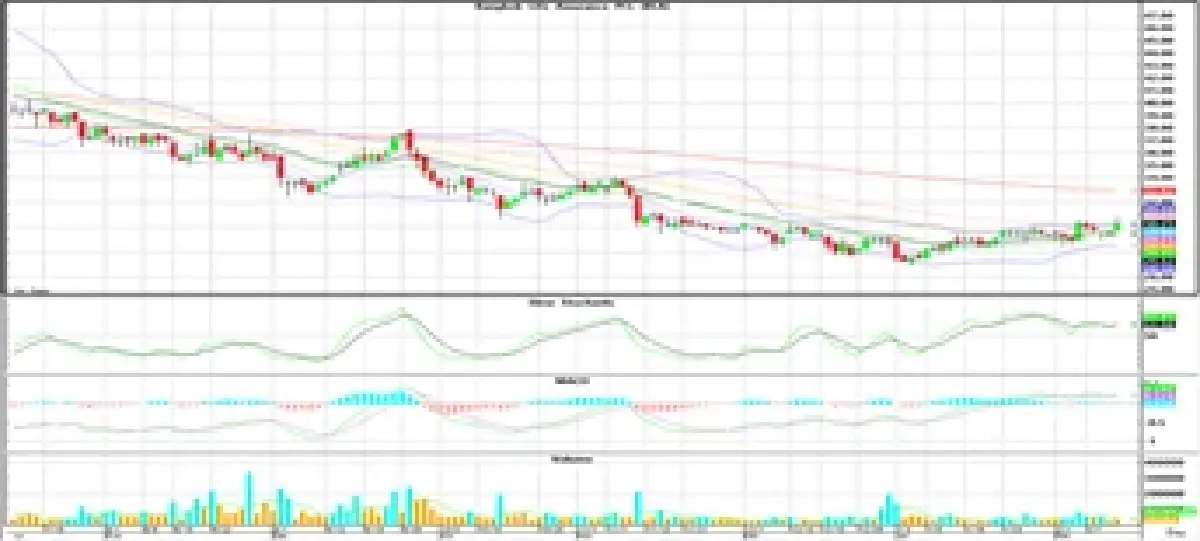 Technical Insight (วันที่ 14 กุมภาพันธ์ 2566)