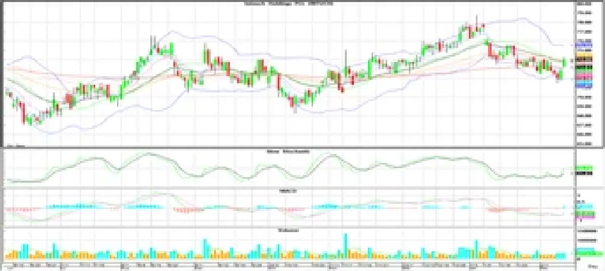 Technical Insight (วันที่ 13 กุมภาพันธ์ 2566)