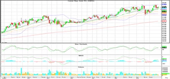 Technical Insight (วันที่ 31 มีนาคม 2566)