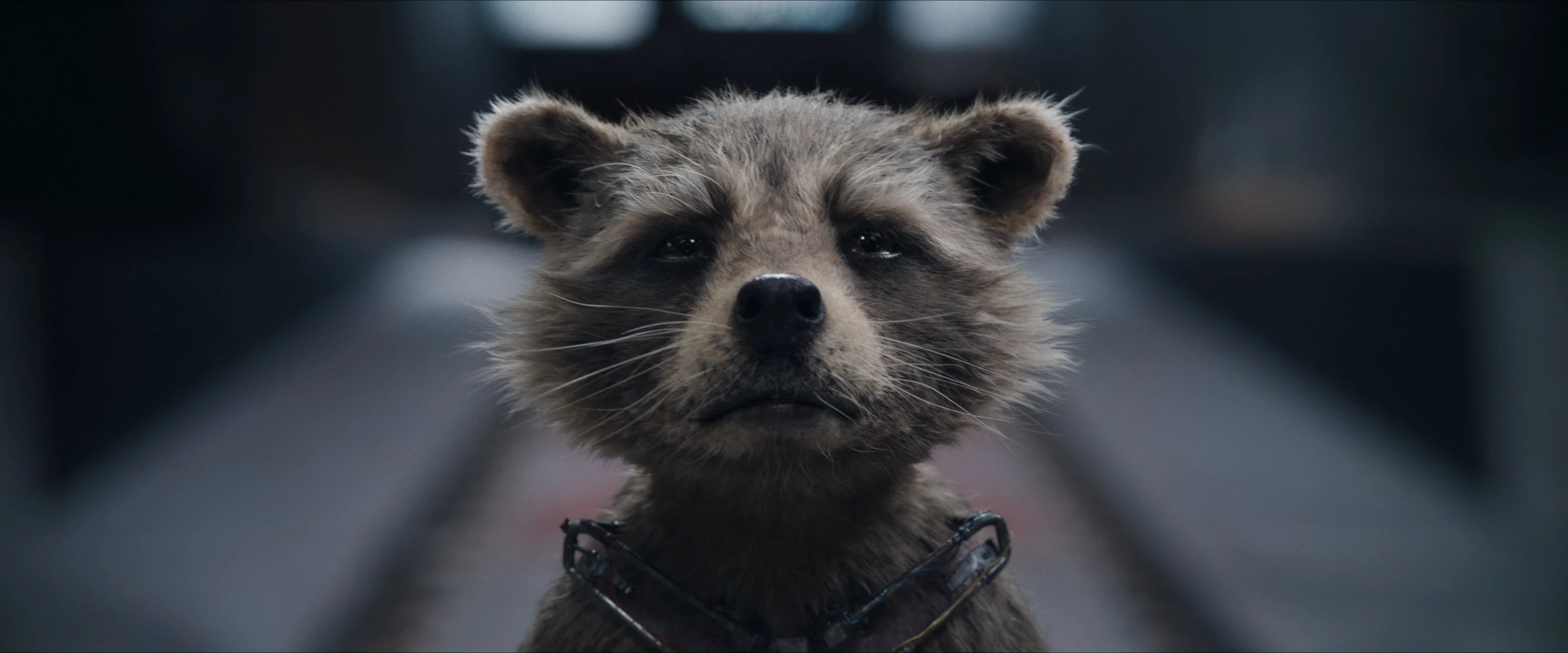 PETA ยก ‘Guardians of the Galaxy Vol. 3’ หนังพิทักษ์สัตว์ยอดเยี่ยมแห่งปี