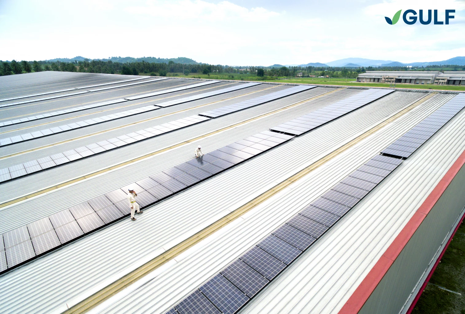 GULF ประกาศ Core Profit ไตรมาส 2/66 เท่ากับ 3,556 ล้านบาท