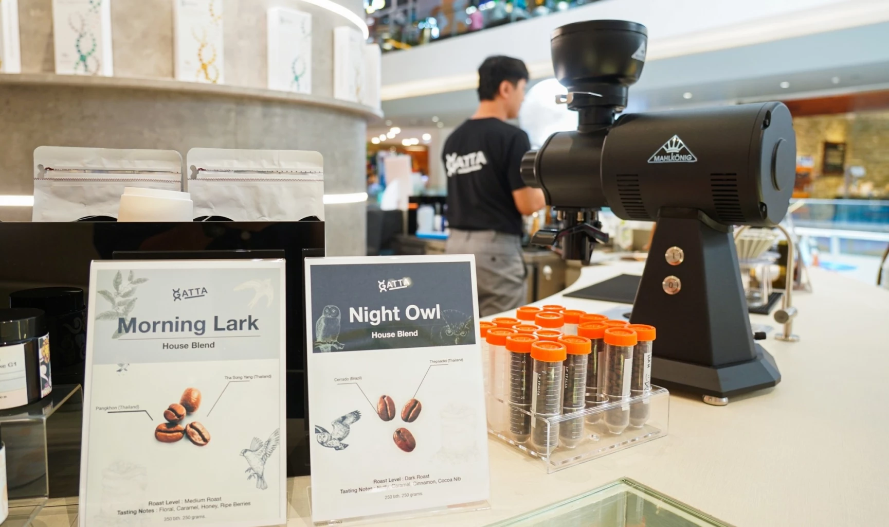 4 'คาเฟ่ใหม่' และ 'คาเฟ่วิเคราะห์ดีเอ็นเอ' Geneus DNA & GATTA Café