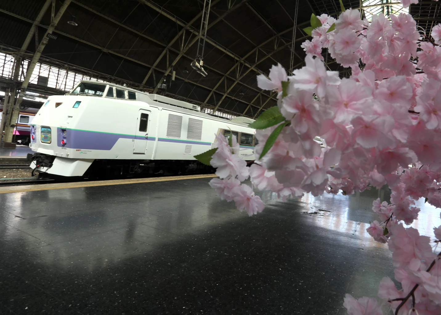 เปิดโปรแกรมท่องเที่ยวต้อนรับลมหนาว นั่งรถไฟ KIHA 183 ตลอดเดือนพ.ย.-ธ.ค.66