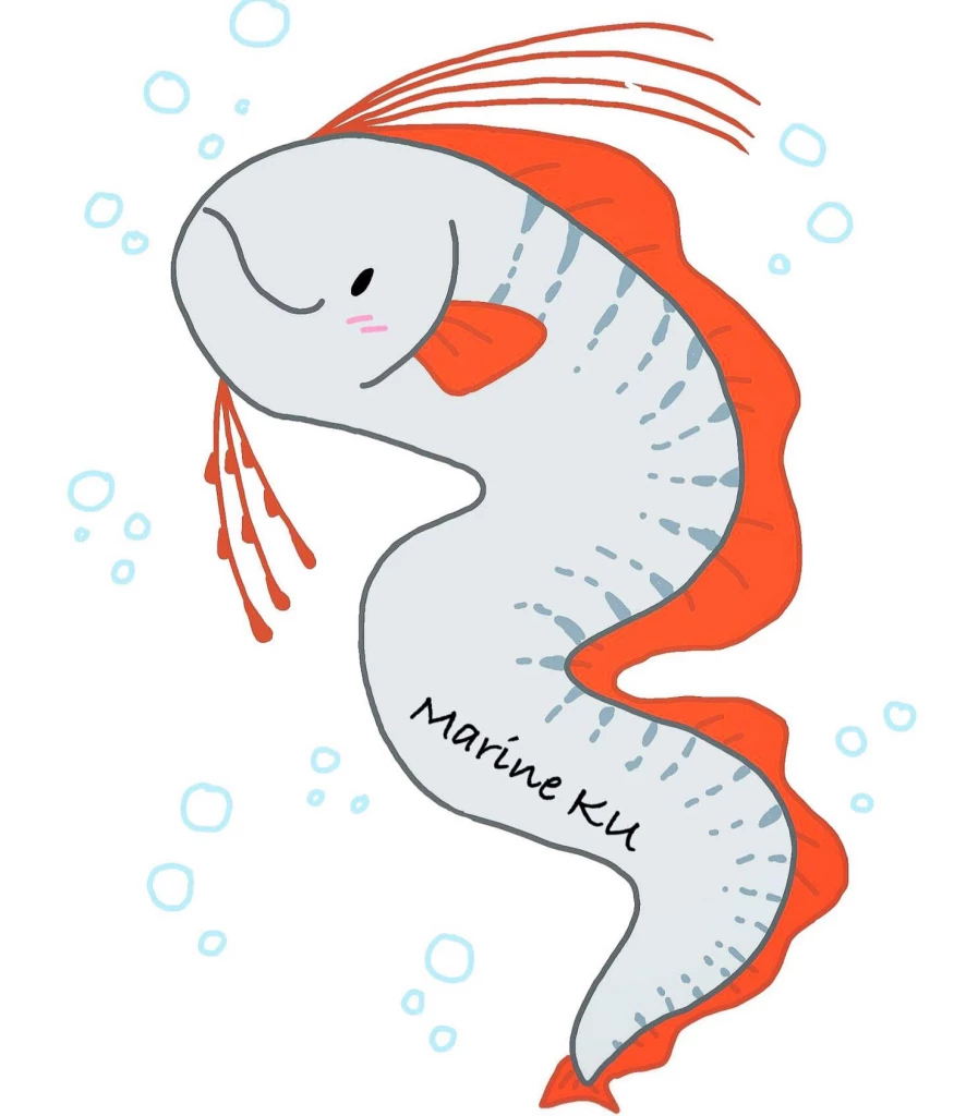 ดร.ธรณ์ ยัน เรื่องบังเอิญ พบ ปลาออร์ฟิช ที่สตูล ย้ำอย่าตื่นตระหนก ...