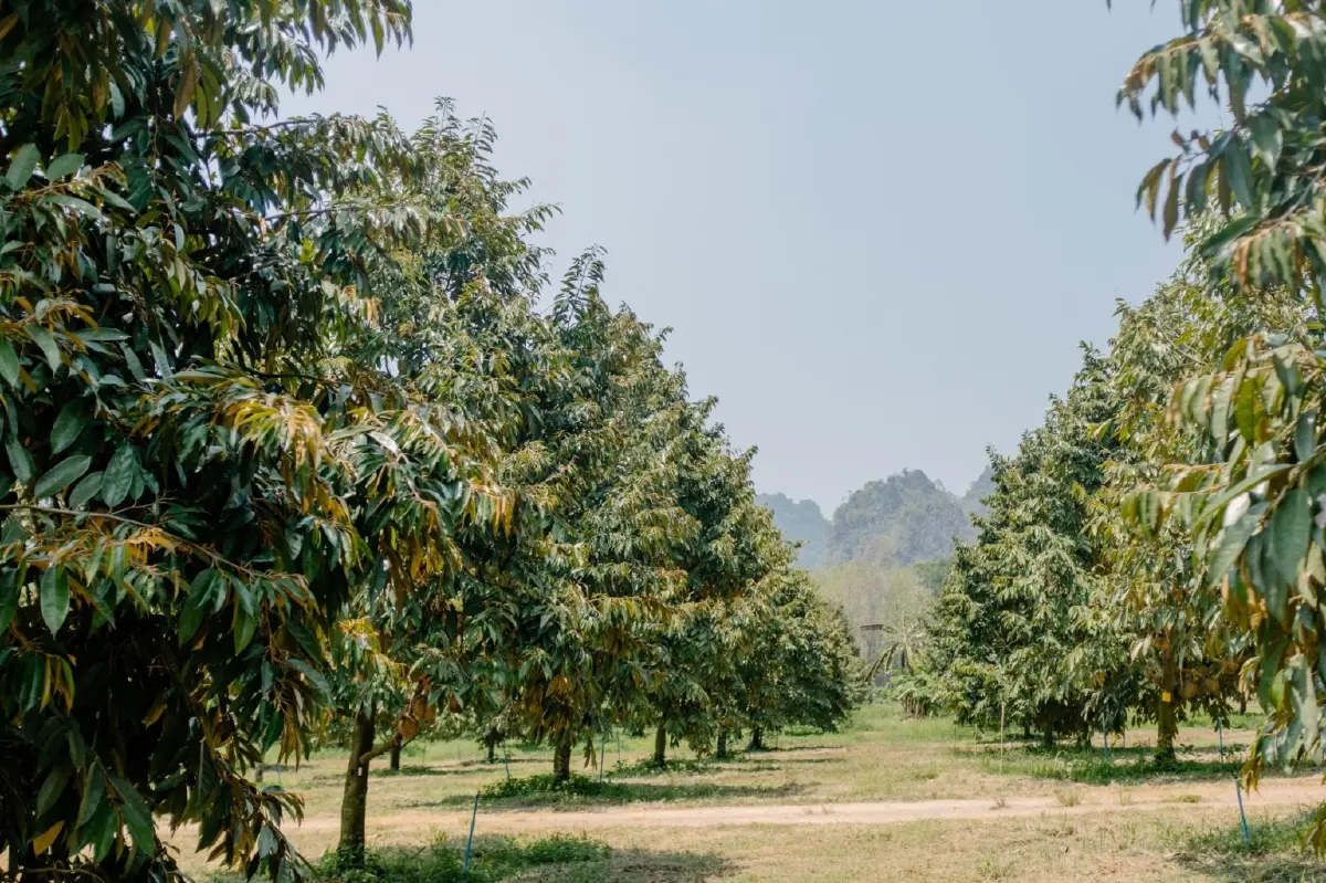 AgriMap 2 ระบบข้อมูลแม่นยำสูง สู่การพัฒนาเกษตรที่ตรงจุด