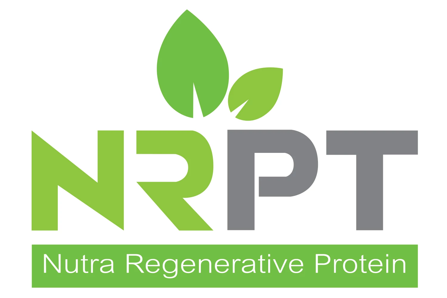 NRPT ร่วมทุน Plant & Bean วางเป้ากำลังการผลิต 3,000 ตันต่อปี เริ่ม ...