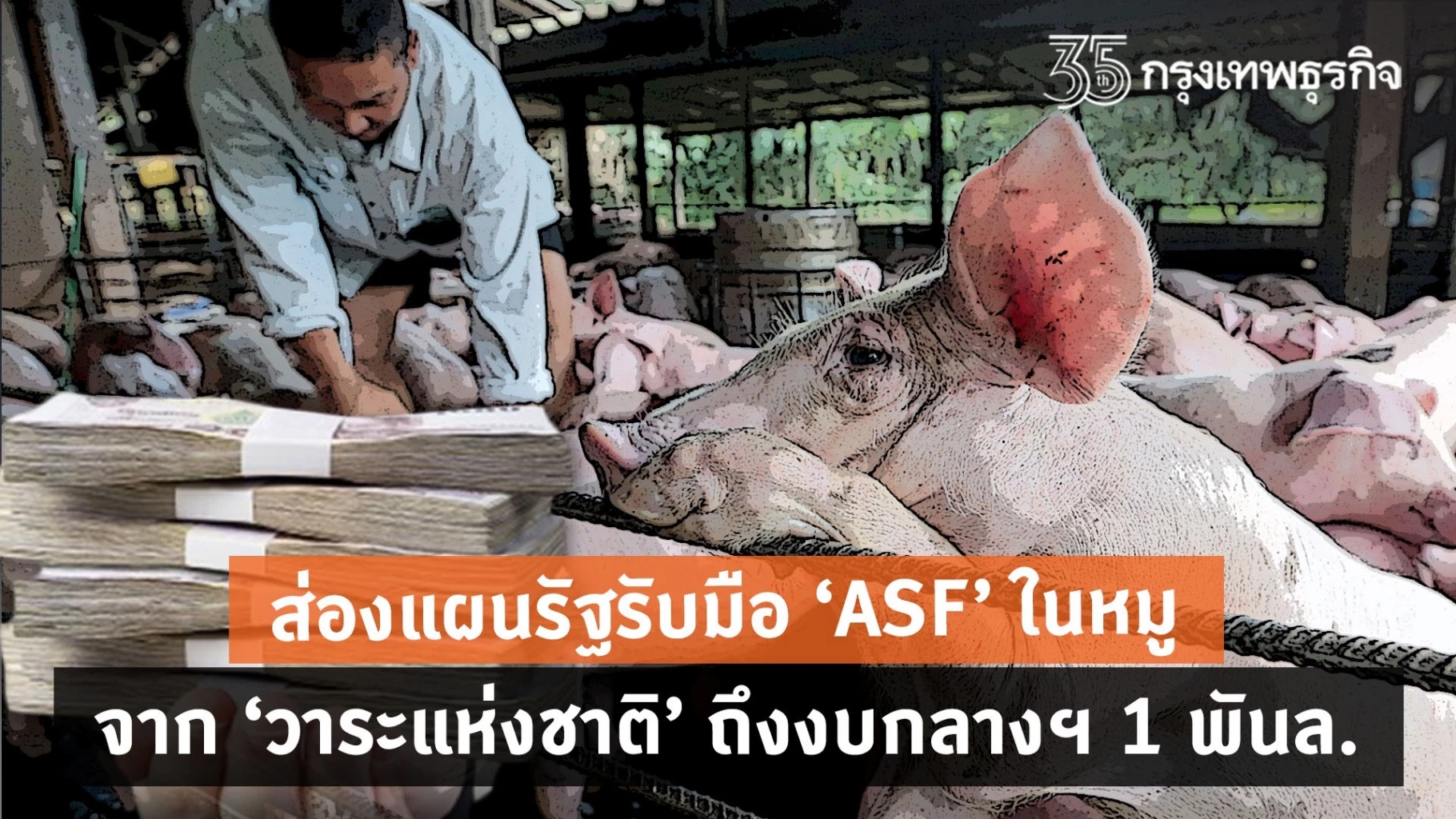 ส่องแผนรัฐรับมือ ‘ASF’ ในหมู จาก ‘วาระแห่งชาติ’ ถึงงบกลางฯ รวม 1,000 ล้าน