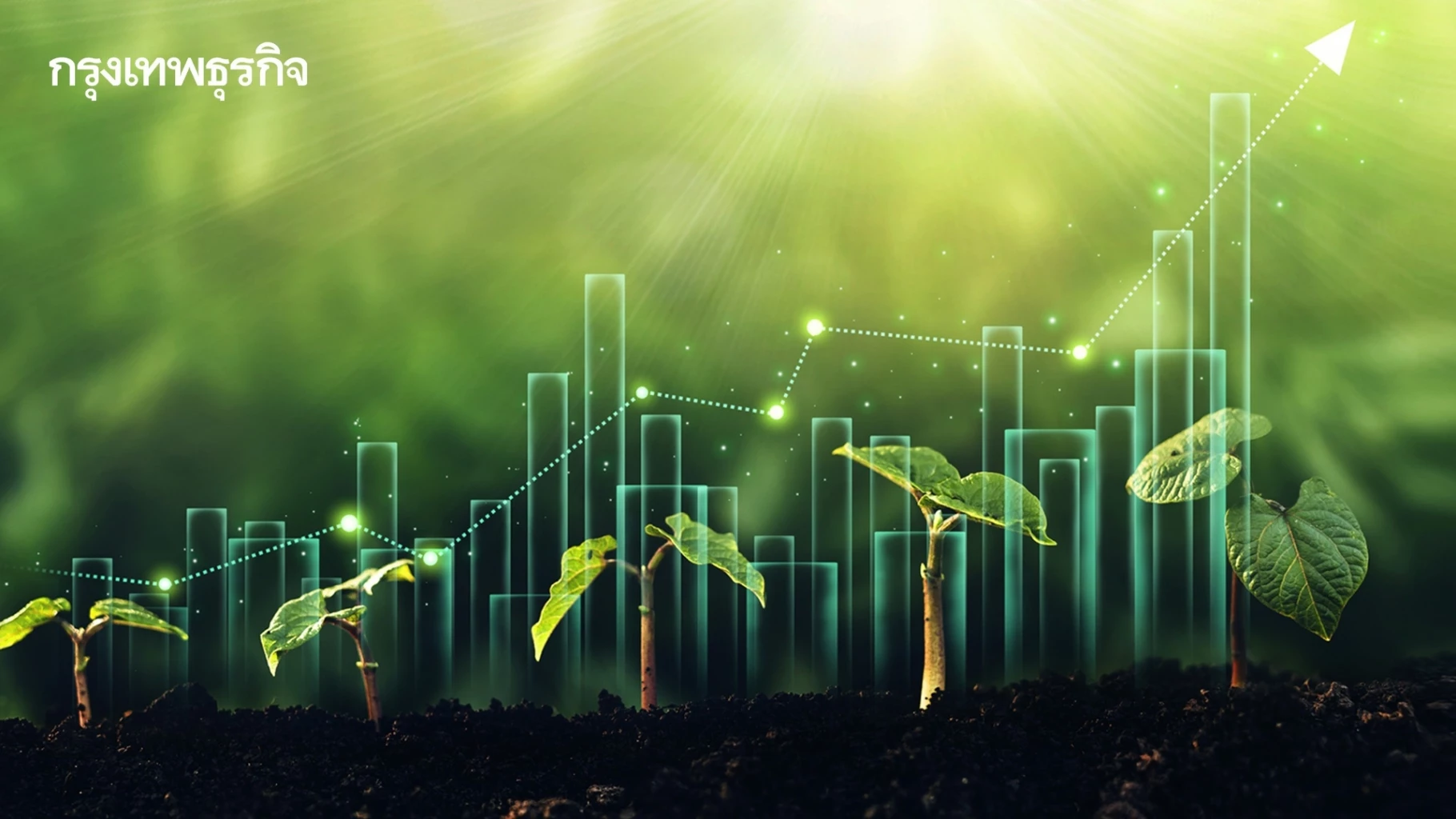 แอสเซทไวส์ กับไอเดีย "Grow Green" คุณภาพชีวิตกับสิ่งแวดล้อม