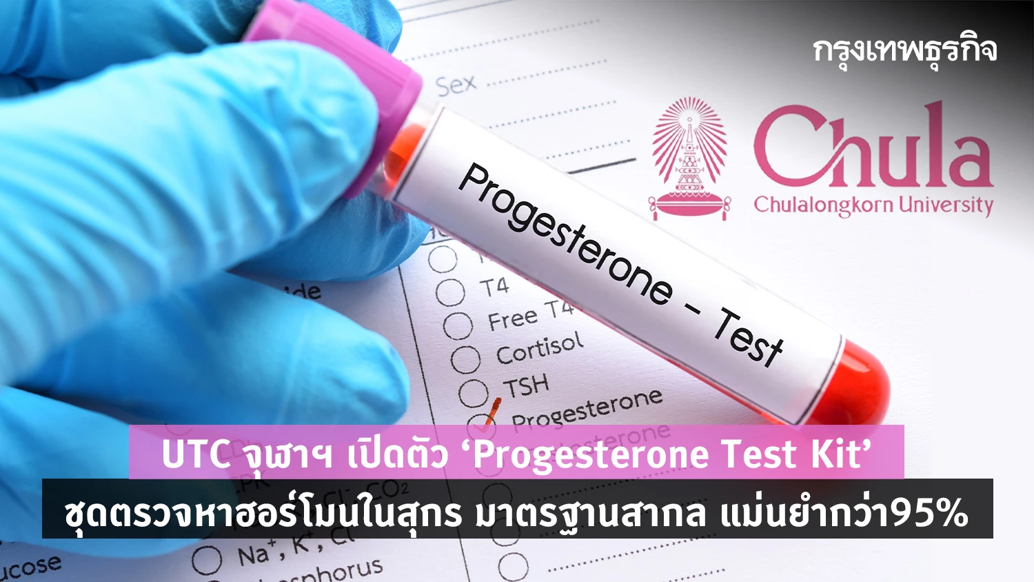 "Progesterone Test Kit" นวัตกรรมนักวิจัยจุฬาฯ ช่วยหมูสาวสู่วัยเจริญพันธุ์