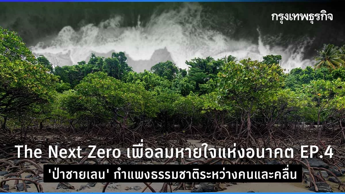 The Next Zero เพื่อลมหายใจแห่งอนาคต EP.4 ป่าชายเลน กำแพงธรรมชาติระหว่างคนและคลื่น