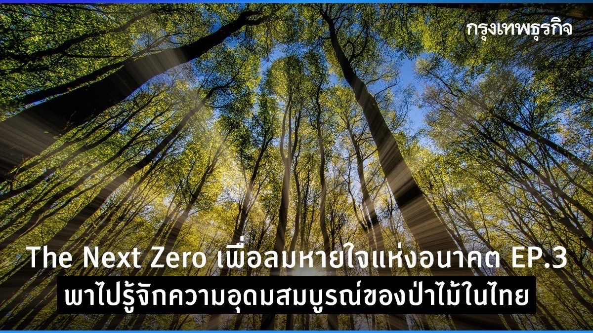 The Next Zero เพื่อลมหายใจแห่งอนาคต EP.3 พาไปรู้จักความอุดมสมบูรณ์ของป่าไม้ในไทย