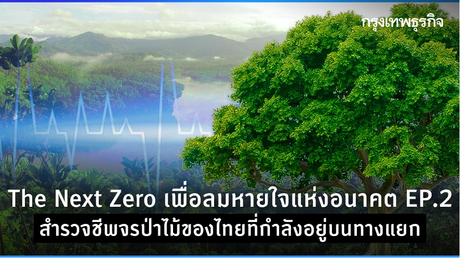 The Next Zero เพื่อลมหายใจแห่งอนาคต Ep.2 สำรวจชีพจรป่าไม้ของไทย