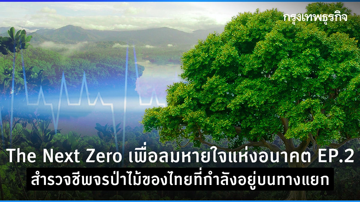 The Next Zero เพื่อลมหายใจแห่งอนาคต EP.2 สำรวจชีพจรป่าไม้ไทยที่กำลังอยู่บนทางแยก