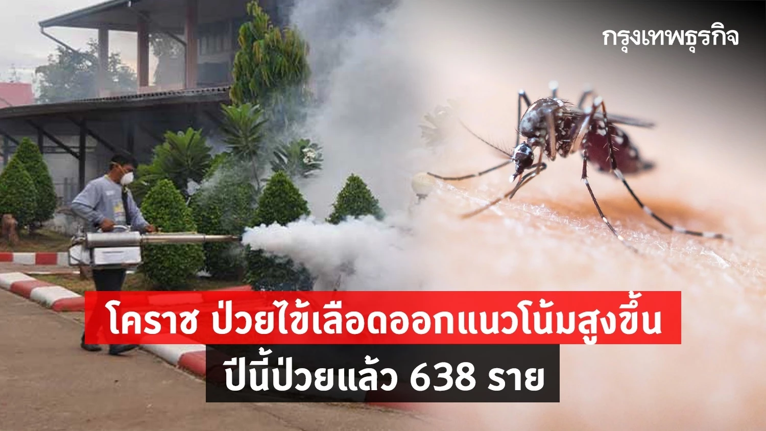 Korat dengue fever tends to increase This year, 638 people have been ...