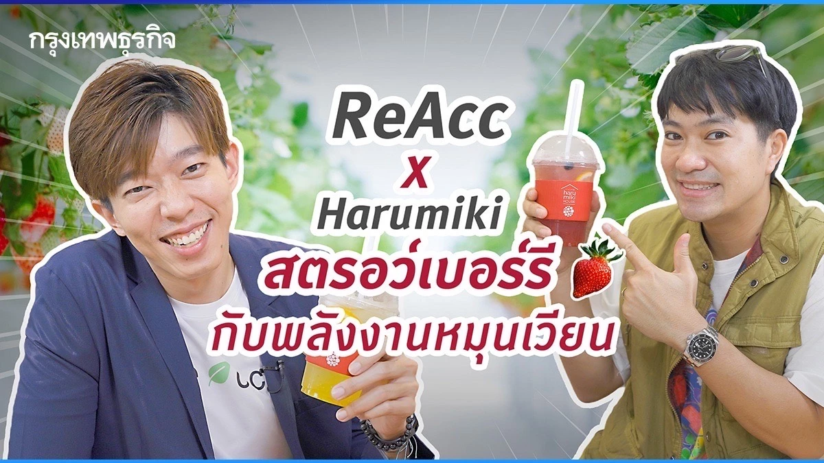 ReAcc x Harumiki สตรอว์เบอร์รีกับพลังงานหมุนเวียน
