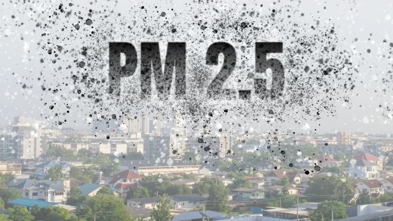 "ฝุ่น PM 2.5" ฝุ่นจิ๋วจอมวายร้าย ส่งผลกระทบต่อร่างกายเพียบ