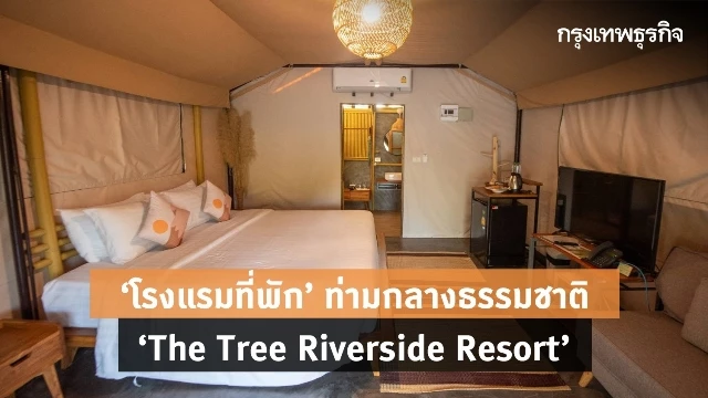 ‘โรงแรมที่พัก’ ท่ามกลางธรรมชาติ ‘The Tree Riverside Resort’