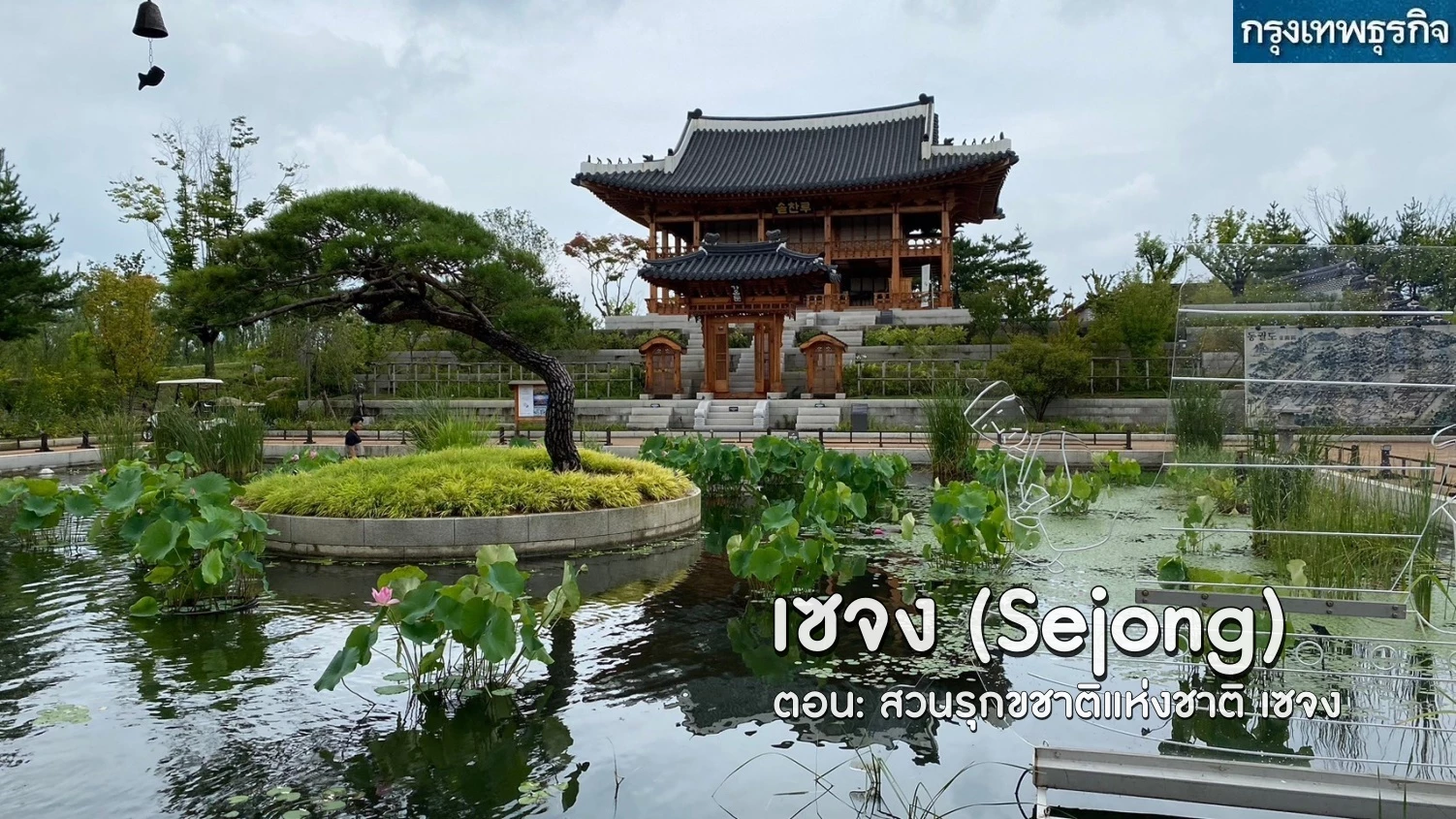 เซจง (Sejong) 2 : สวนรุกขชาติแห่งชาติเซจง รู้จักดอกไม้ประจำชาติเกาหลีใต้