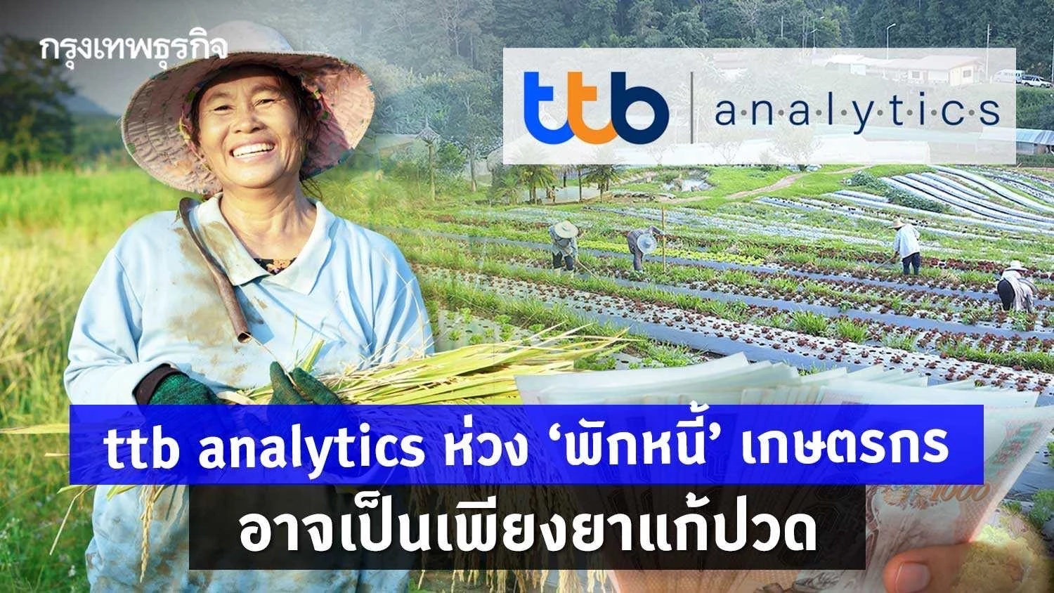 ttb analytics ห่วง ‘พักหนี้’ เกษตรกร อาจเป็นเพียงยาแก้ปวด