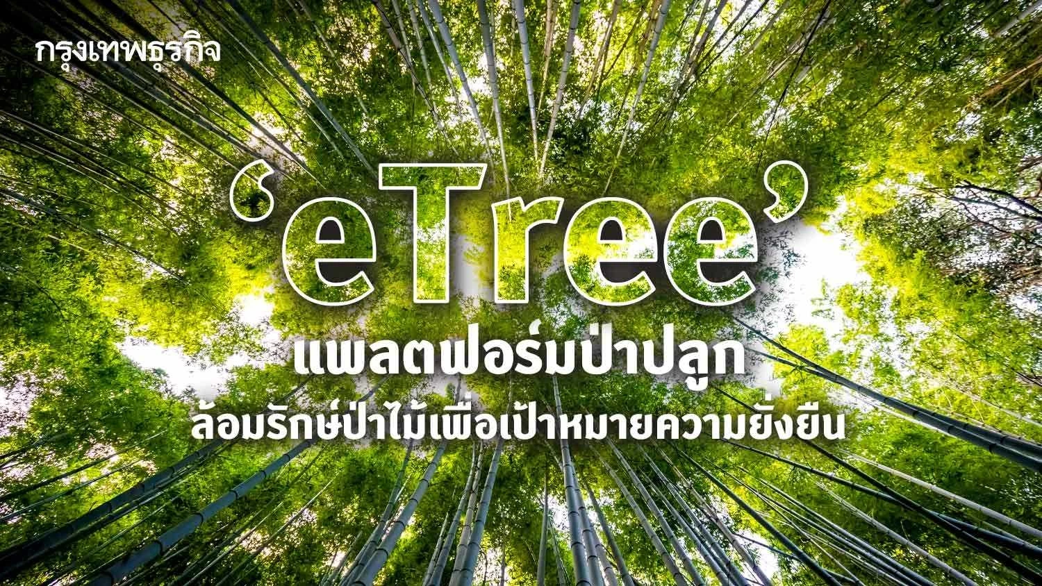 “eTree” แพลตฟอร์มป่าปลูก ล้อมรักษ์ป่าไม้เพื่อเป้าหมายความยั่งยืน