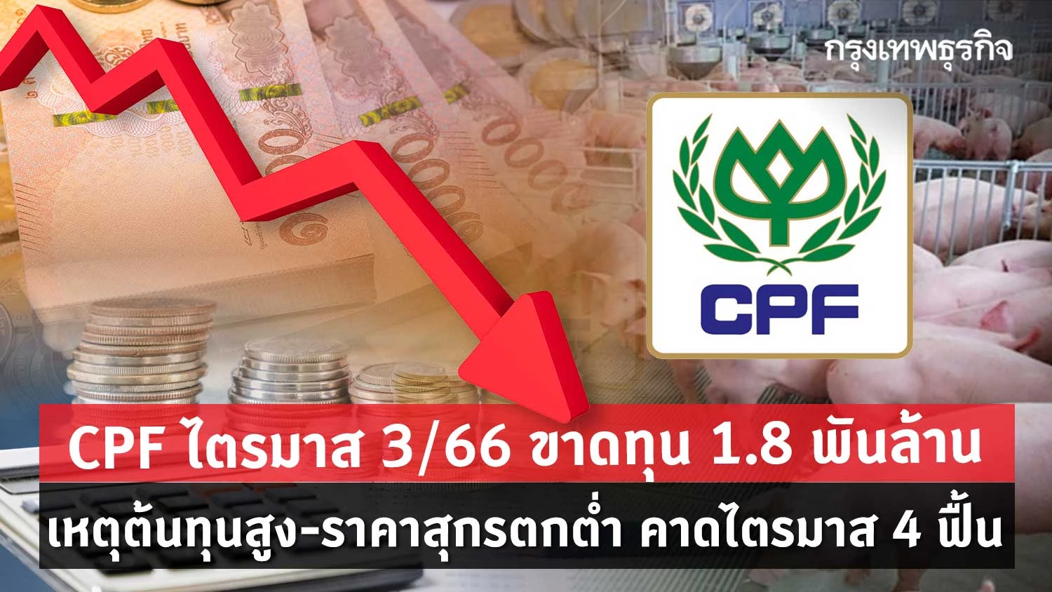 CPF ไตรมาส 3/66 ขาดทุน 1.8 พันล้าน เหตุต้นทุนสูง - ราคาสุกรตกต่ำ คาดไตรมาส 4 ฟื้น