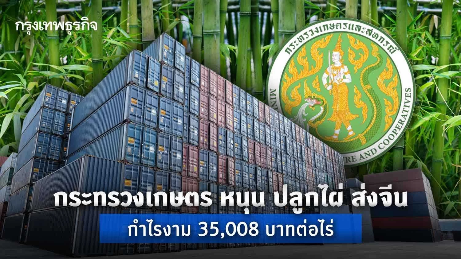 กระทรวงเกษตรฯ หนุน ปลูกไผ่ ส่งจีน กำไรงาม 35,008 บาทต่อไร่