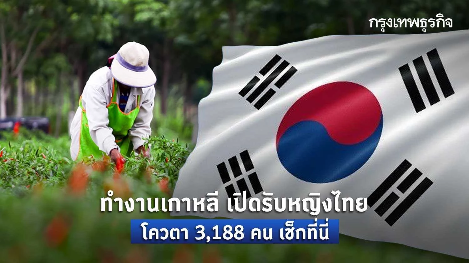 ทำงานเกาหลี เปิดรับหญิงไทย โควตา 3,188 คน เช็กที่นี่ อัปเดตจากกรมจัดหางาน