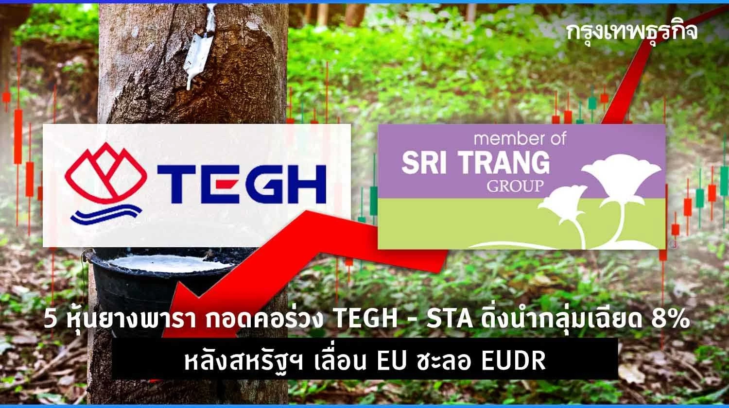 5 หุ้นยางพารา กอดคอร่วง TEGH - STA ดิ่งนำกลุ่มเฉียด 8% หลังสหรัฐฯ เลื่อน EU ชะลอ EUDR