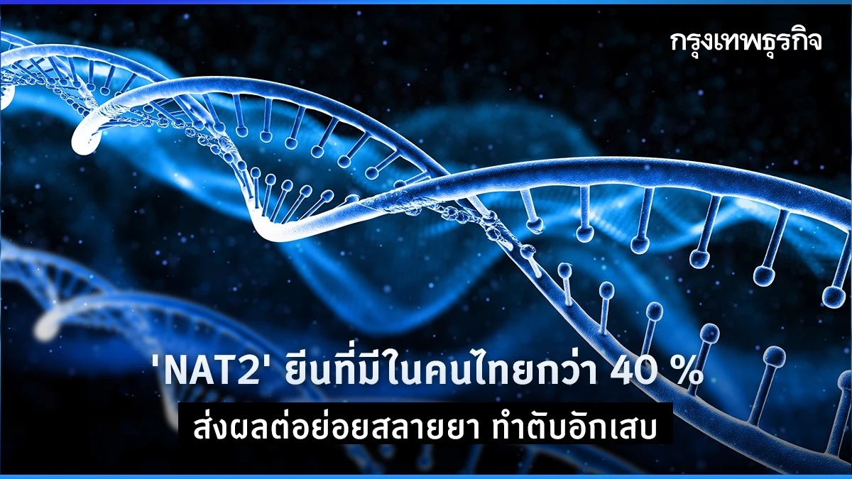 “NAT2” ยีนที่มีในคนไทย 40 % ส่งผลต่อการย่อยสลายยา